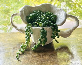 Uterus Planter - Etsy