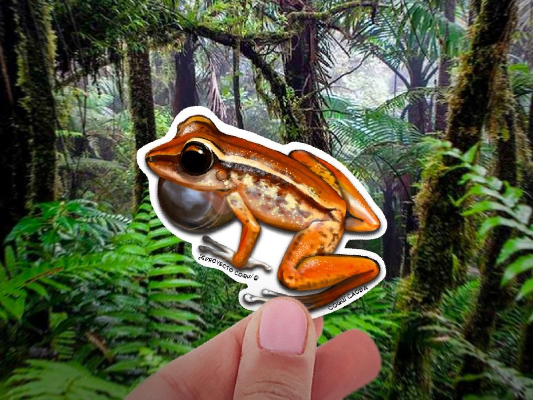 Coquí Caoba Sticker, Richmonds Coquí Sticker, Coquí Sticker, Puerto ...