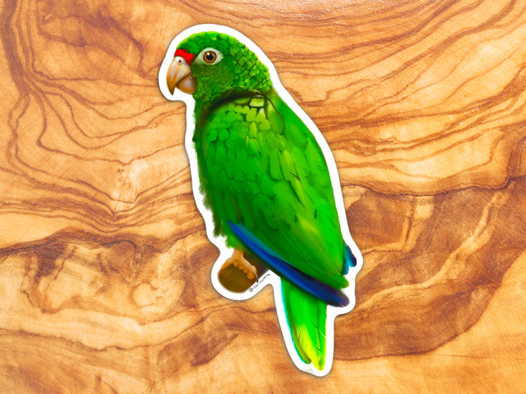 Cotorra Puertorriqueña, Puerto Rican Parrot Sticker, Iguaca, Puerto ...