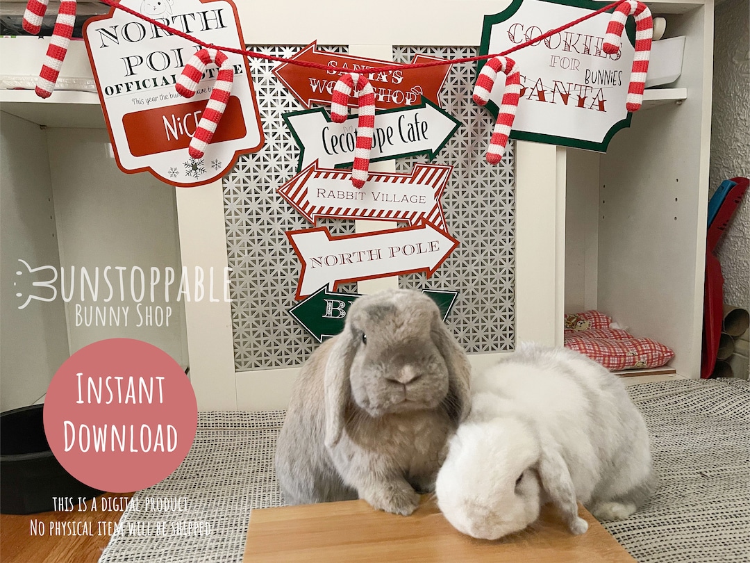 Printable Bunny Christmas Signs - Etsy