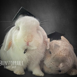 Graduation Hats for Bunnies/ Rabbits / Small Pets - Etsy