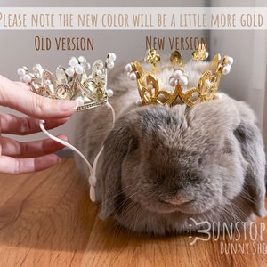 Crown for Bunnies / Small Pets - Etsy