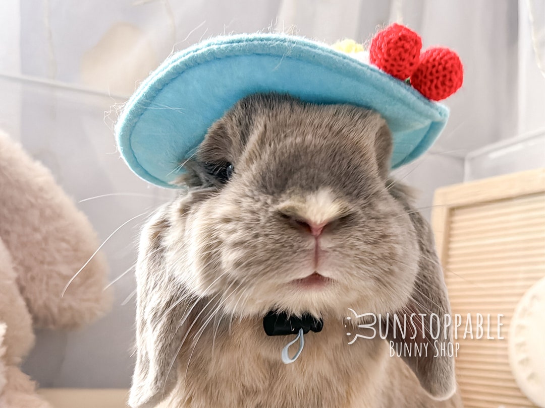 Blue Hat With Flower Crochet for Bunnies / Small Pets - Etsy