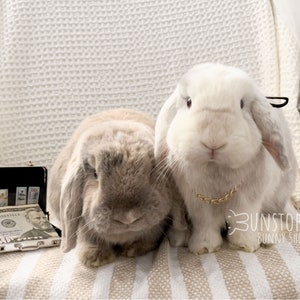 Chain Necklace With Elastic for Bunnies/ Small Pets - Etsy