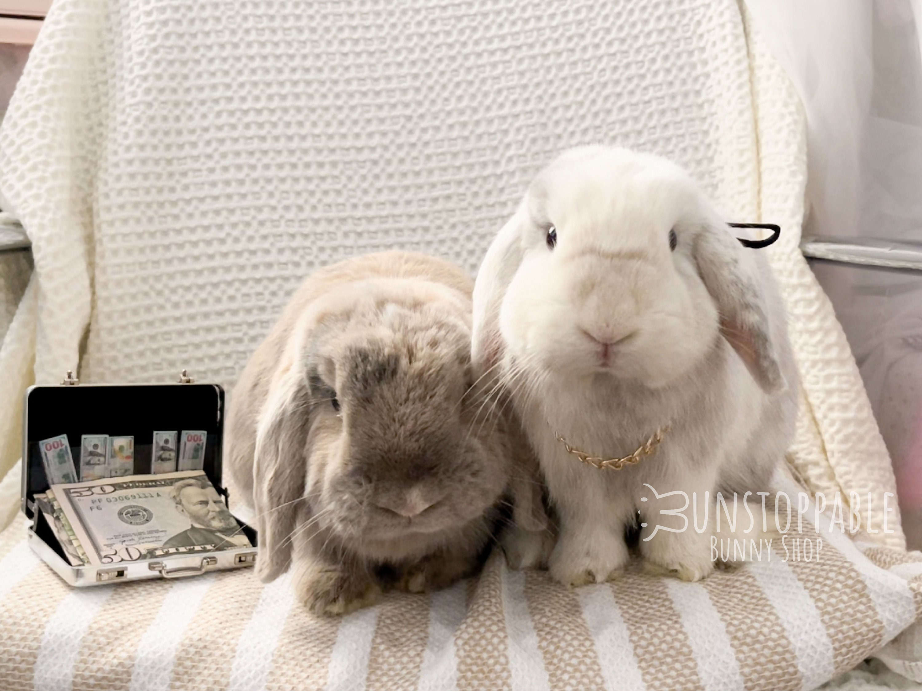 Chain Necklace With Elastic for Bunnies/ Small Pets - Etsy