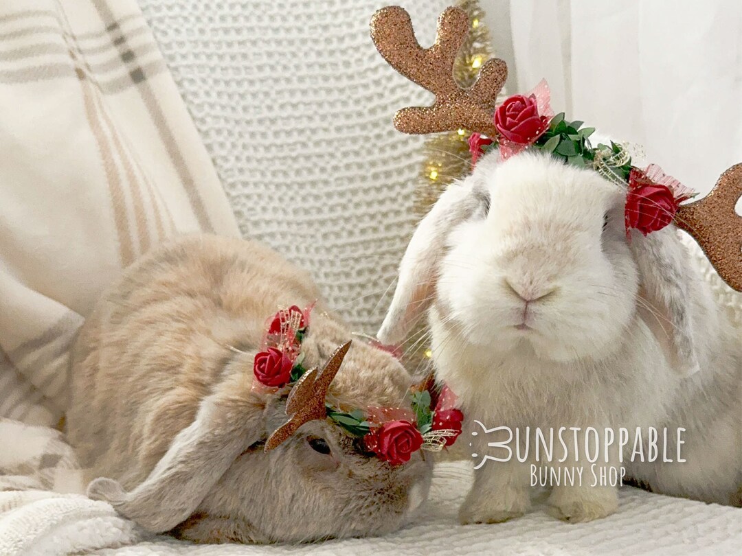 Reindeer Flower Crown for Rabbits/ Small Pets - Etsy
