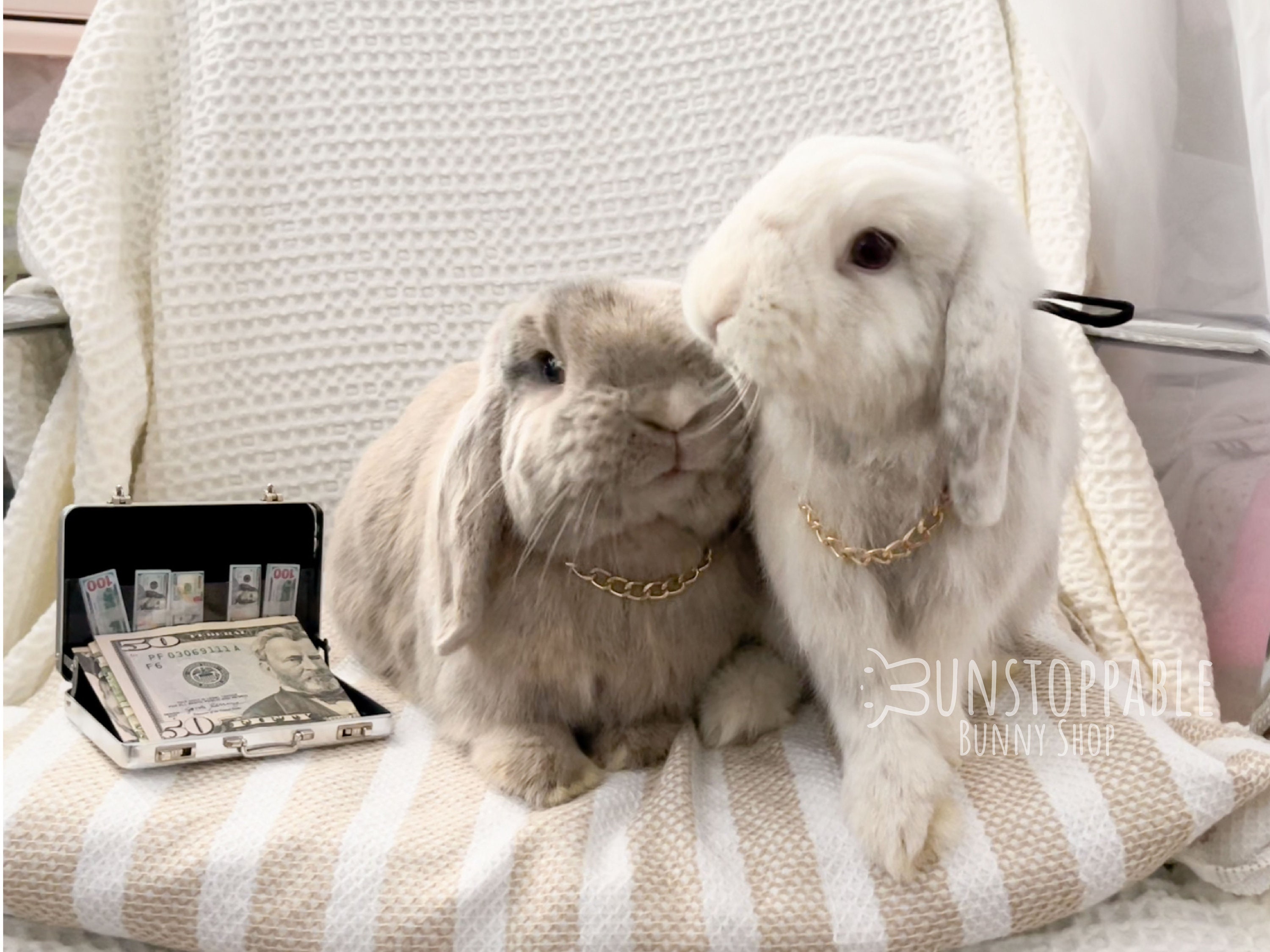 Chain Necklace With Elastic for Bunnies/ Small Pets - Etsy