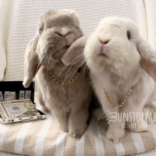 Fender Bunny Adult - Etsy New Zealand