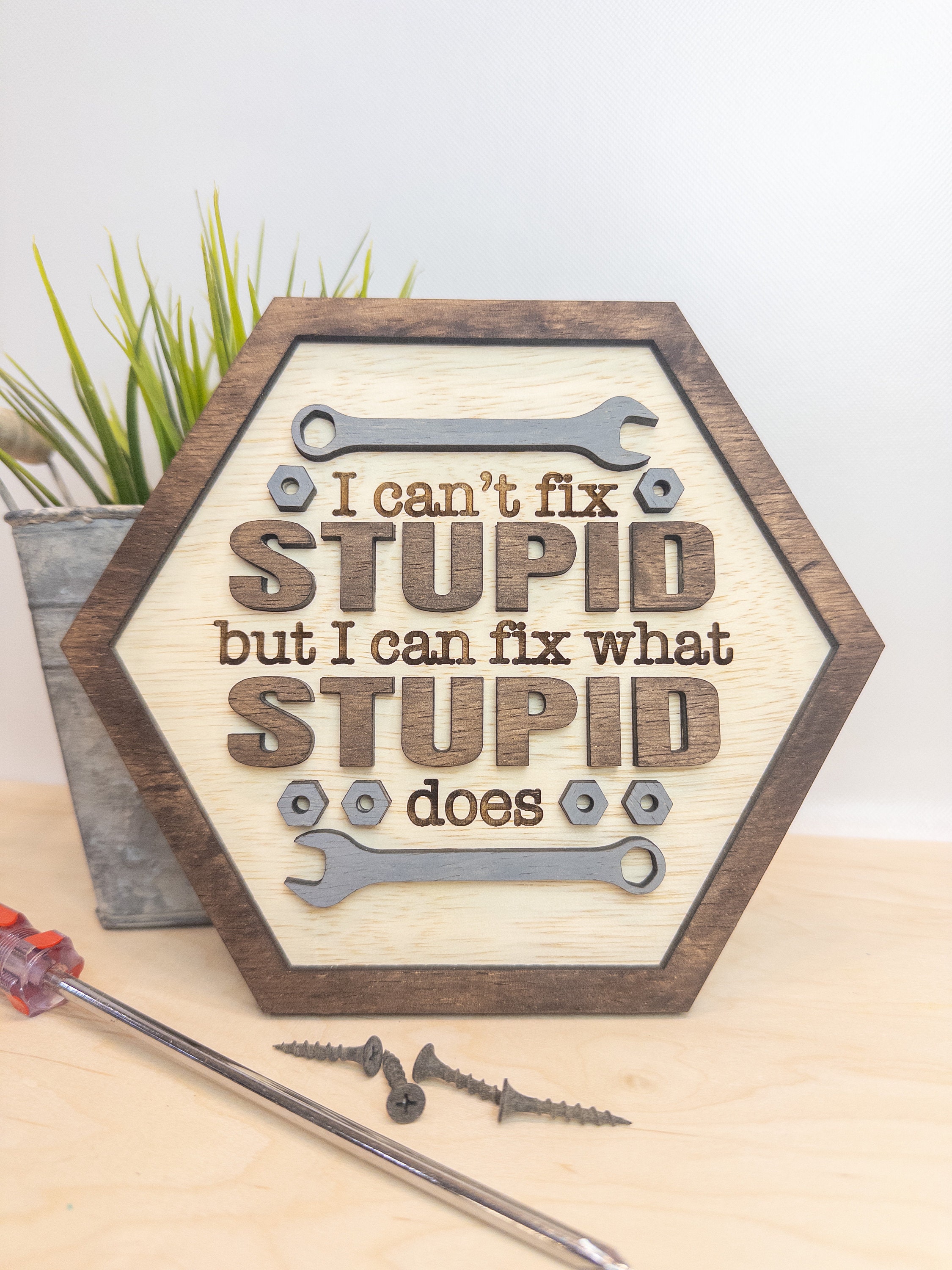 I Cant Fix Stupid but I Can Fix What Stupid Does Workshop, Man Cave ...