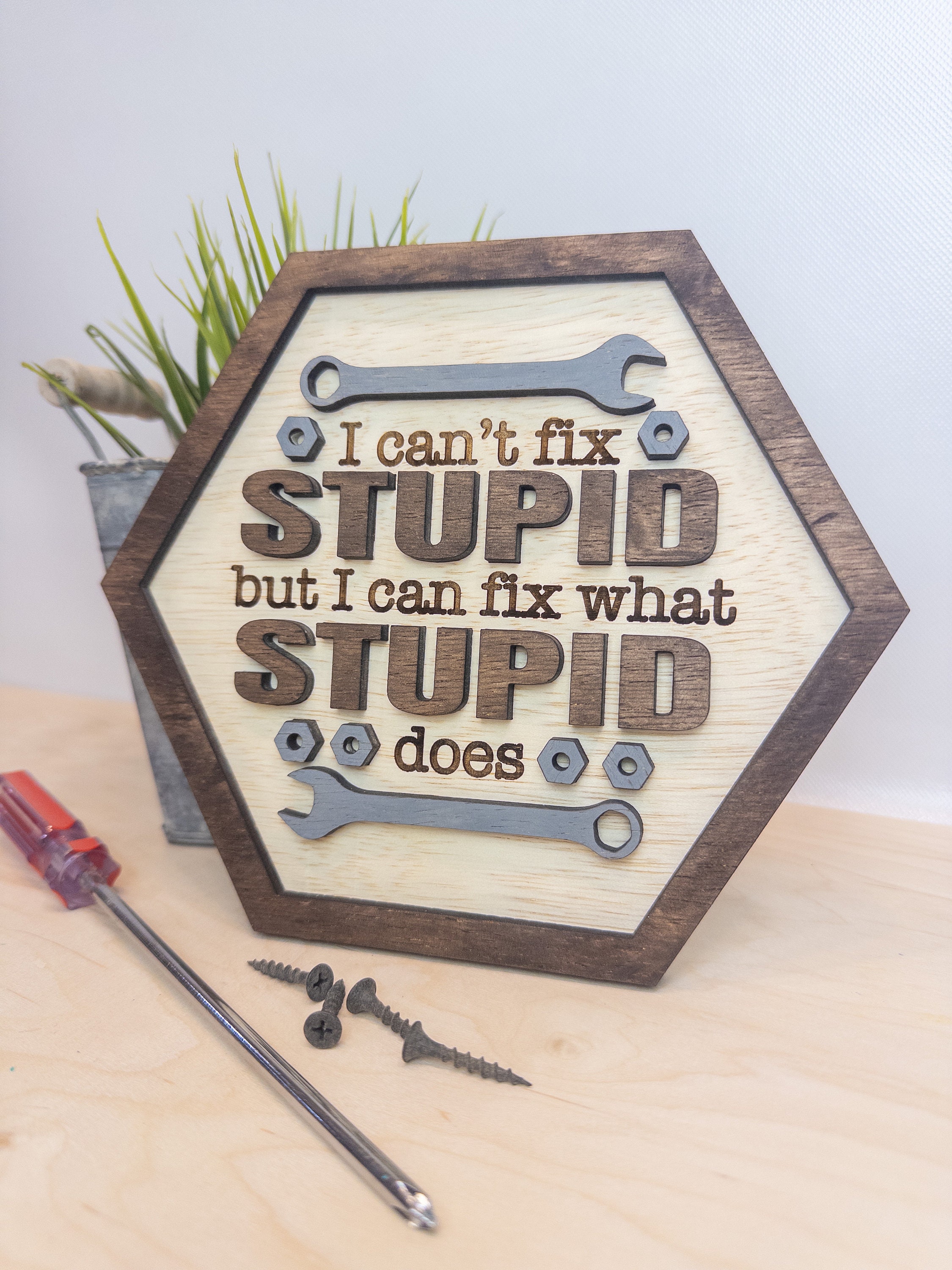 I Cant Fix Stupid but I Can Fix What Stupid Does Workshop, Man Cave ...