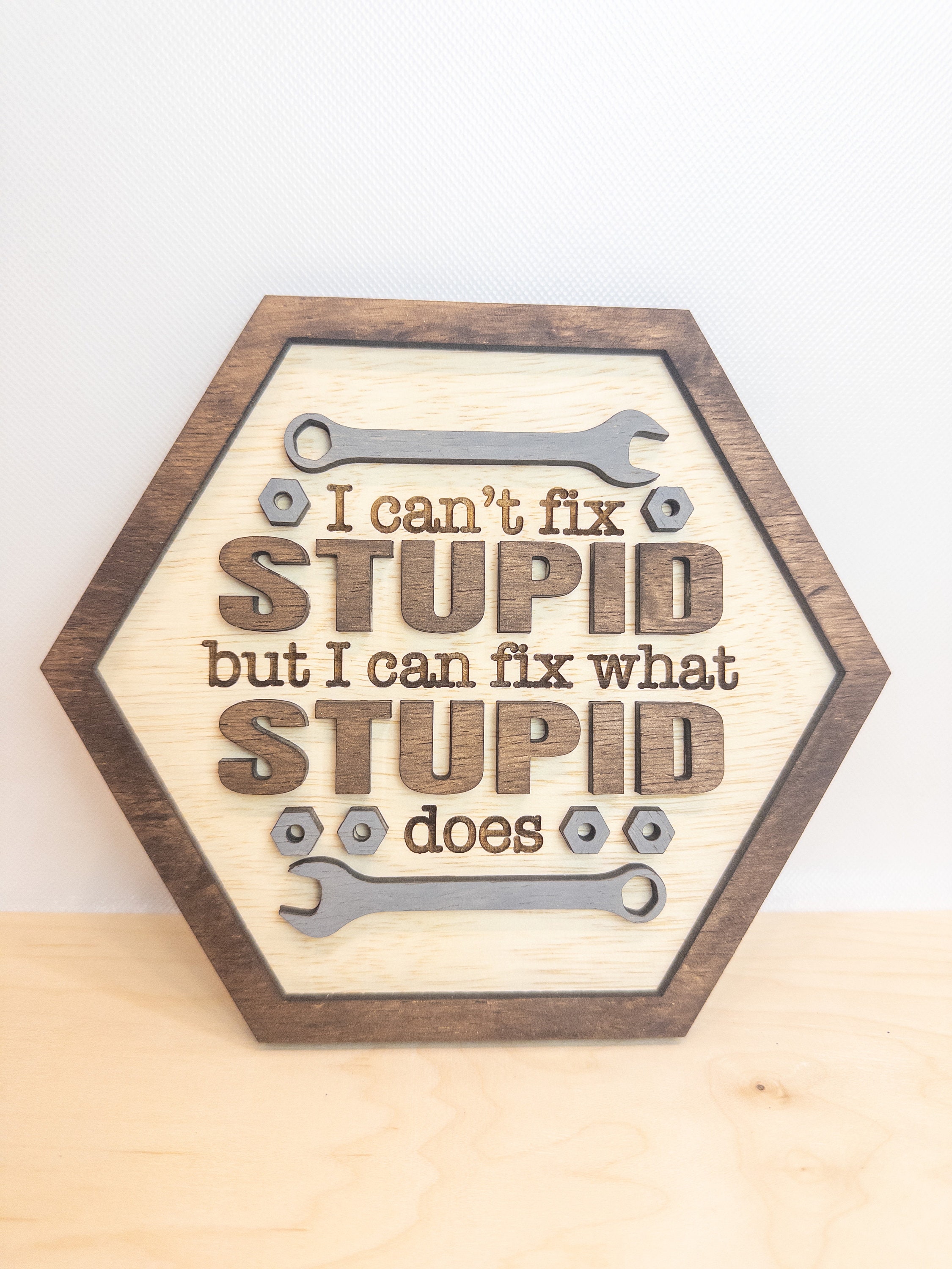 I Cant Fix Stupid but I Can Fix What Stupid Does Workshop, Man Cave ...