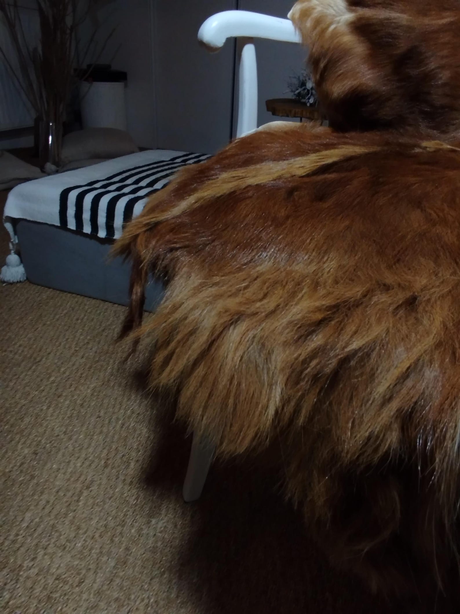 Moroccan Goatskin Rug – Handmade Natural Leather, Boho Decor - Etsy