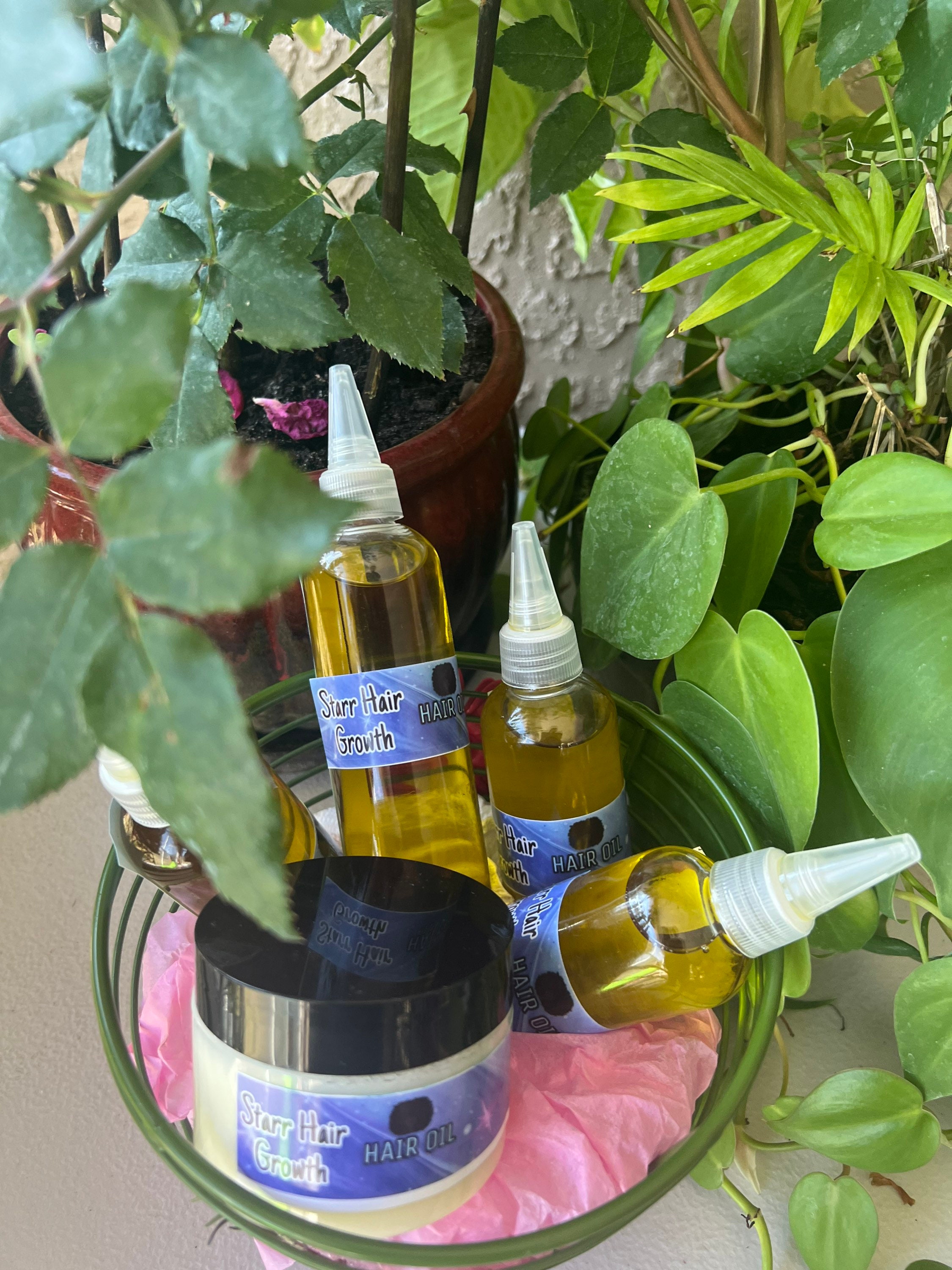 Rosemary, Aloe, Moringa Botanical Hair Oil Hair Growth Hair Regrowth ...