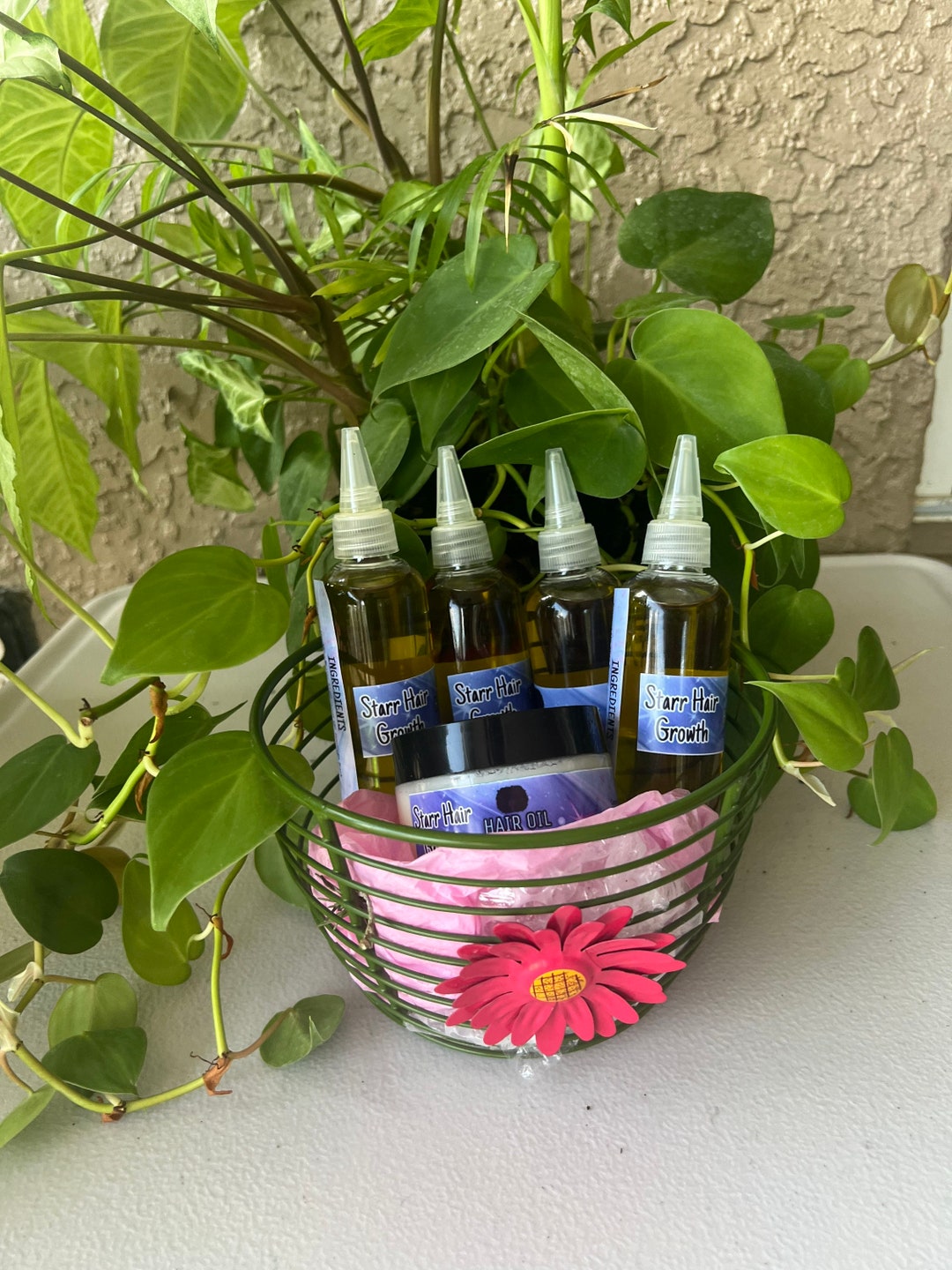 Rosemary, Aloe, Moringa | Botanical Hair Oil | Hair Growth | Hair ...