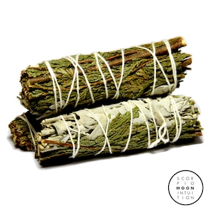 White Sage Bundle Smudge Variety Wands Set of 2 - Buy 1 Get 1 Free! - Etsy