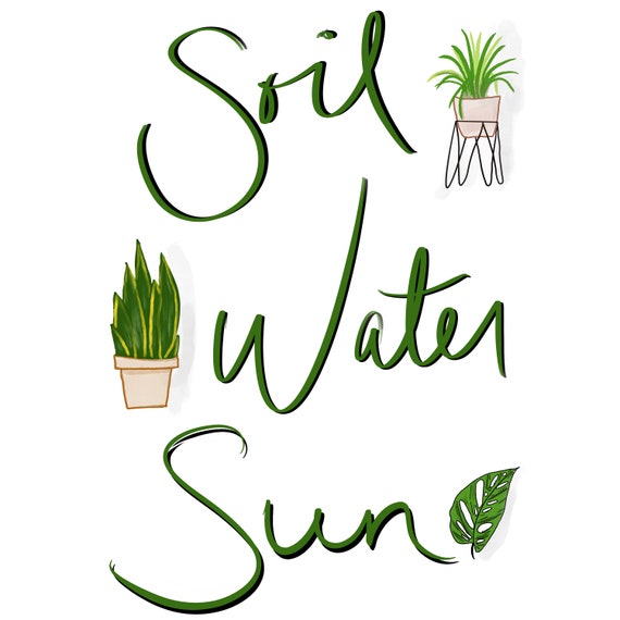 Soil Water Sun handwritten. Not Professional Calligraphy. - Etsy