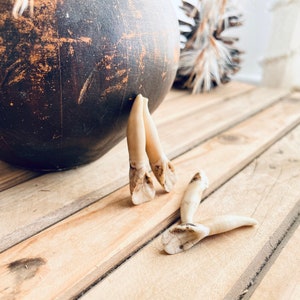 4 Pieces Natural Deer Tooth, Real Large Animal Tooth, Craft Supplier ...