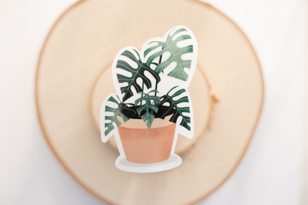 Monstera Deliciosa Sticker , Plant Sticker, Indoor Plant Sticker ...