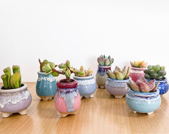 Mini Flower Pot | Etsy