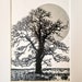 Oak Tree and the Big Moon Lino Print Black and White/linoprint ...