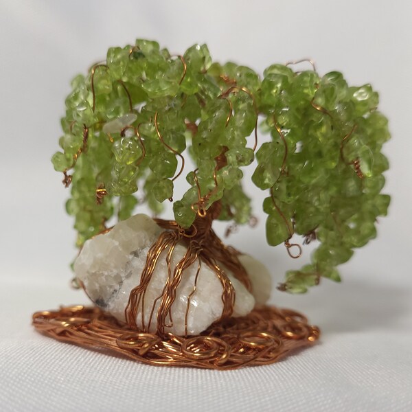 Mini Weeping Willow Tree - Etsy