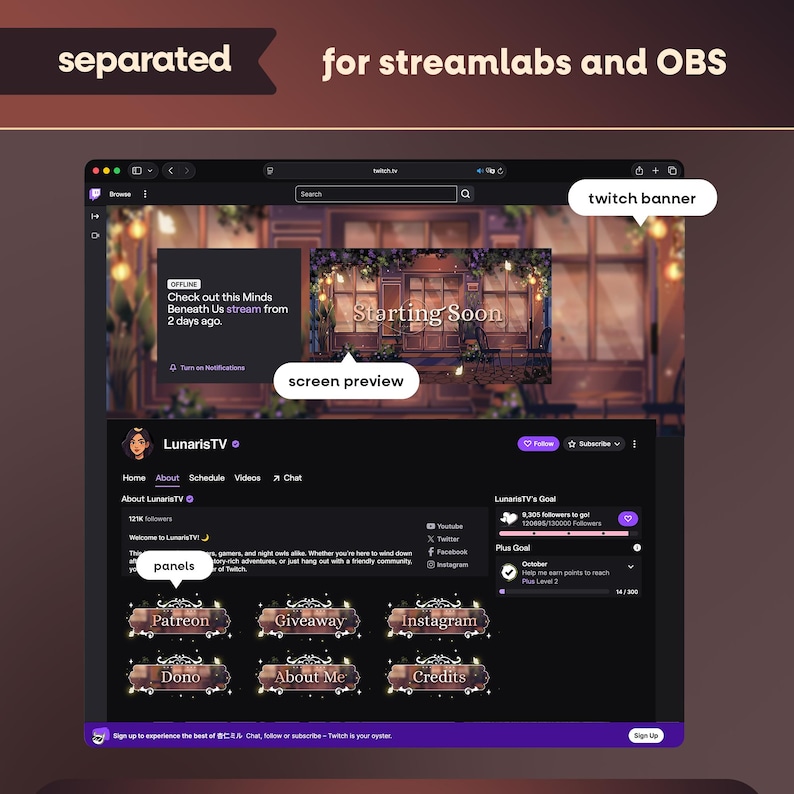 Animated Lantern Lit Cafe Stream Overlay: Warm Cozy Café for Twitch and ...