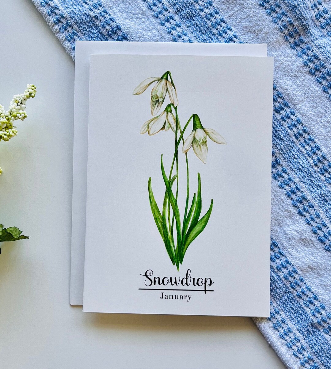 January Snowdrop Birth Flower Card | Snowdrop Flower Card, White Flower ...