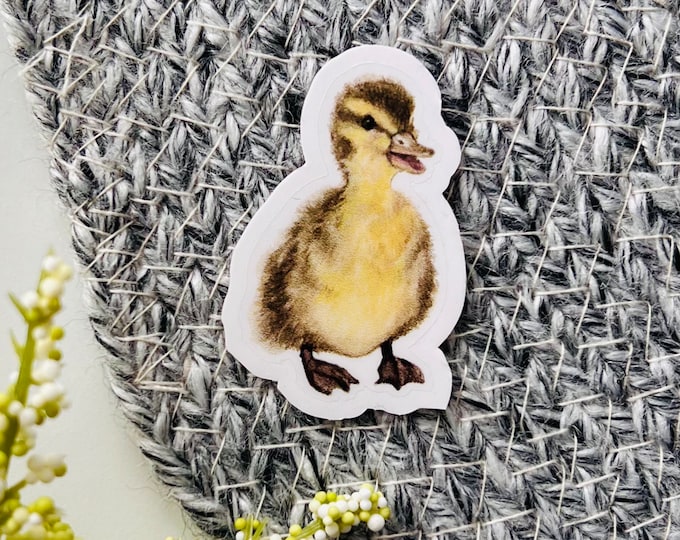 Duckies Stickers Sheet, Journaling Stickers, Penpal Stickers, Duck ...