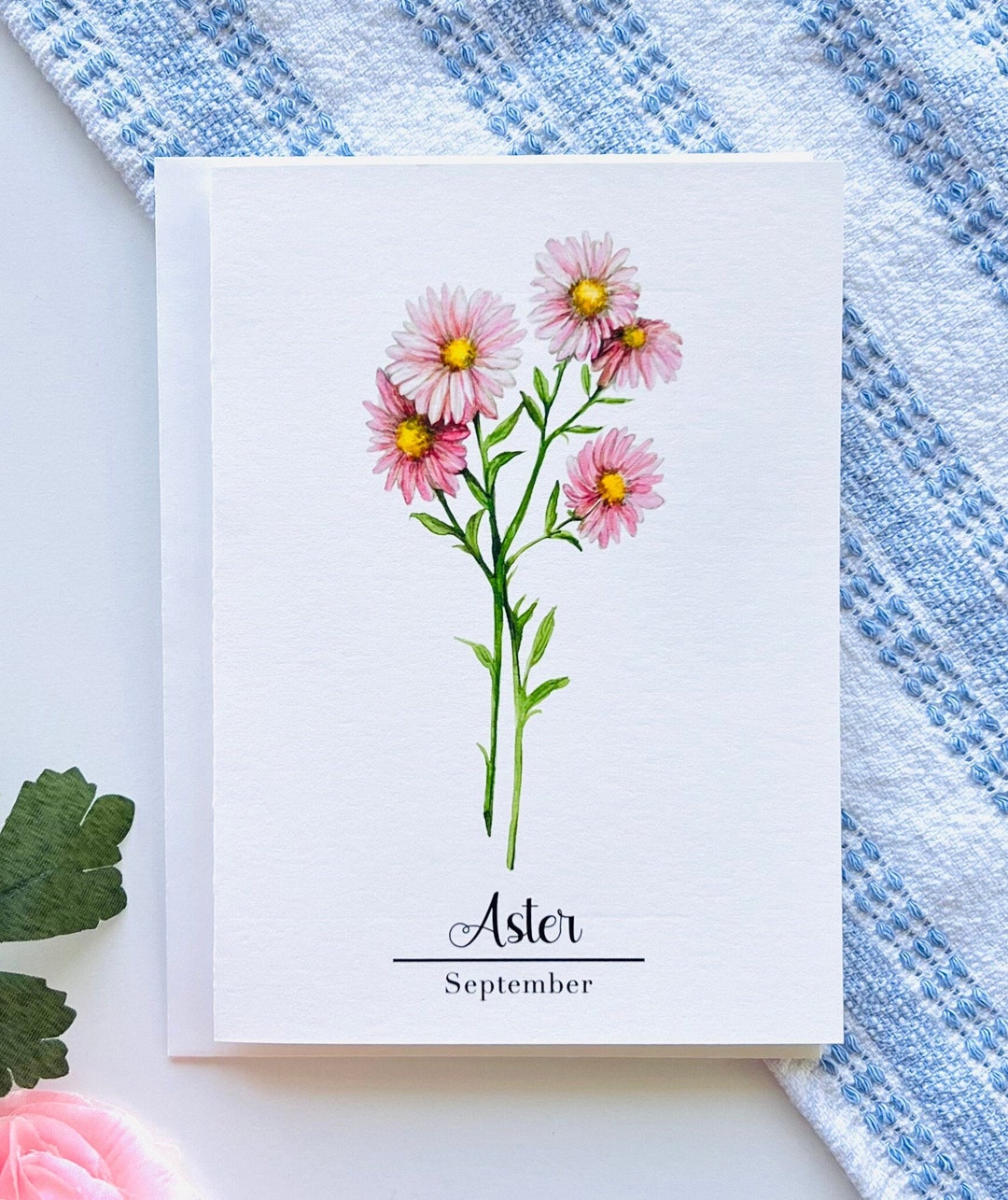 September Aster Birth Flower Card | Aster Card, Aster Flower Note, Pink ...