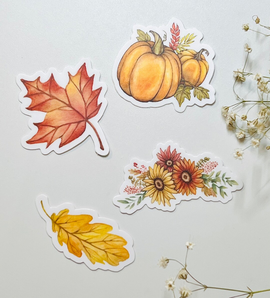 Fall Watercolor Sticker Pack | Autumn Leaves & Pumpkins Stickers - Etsy