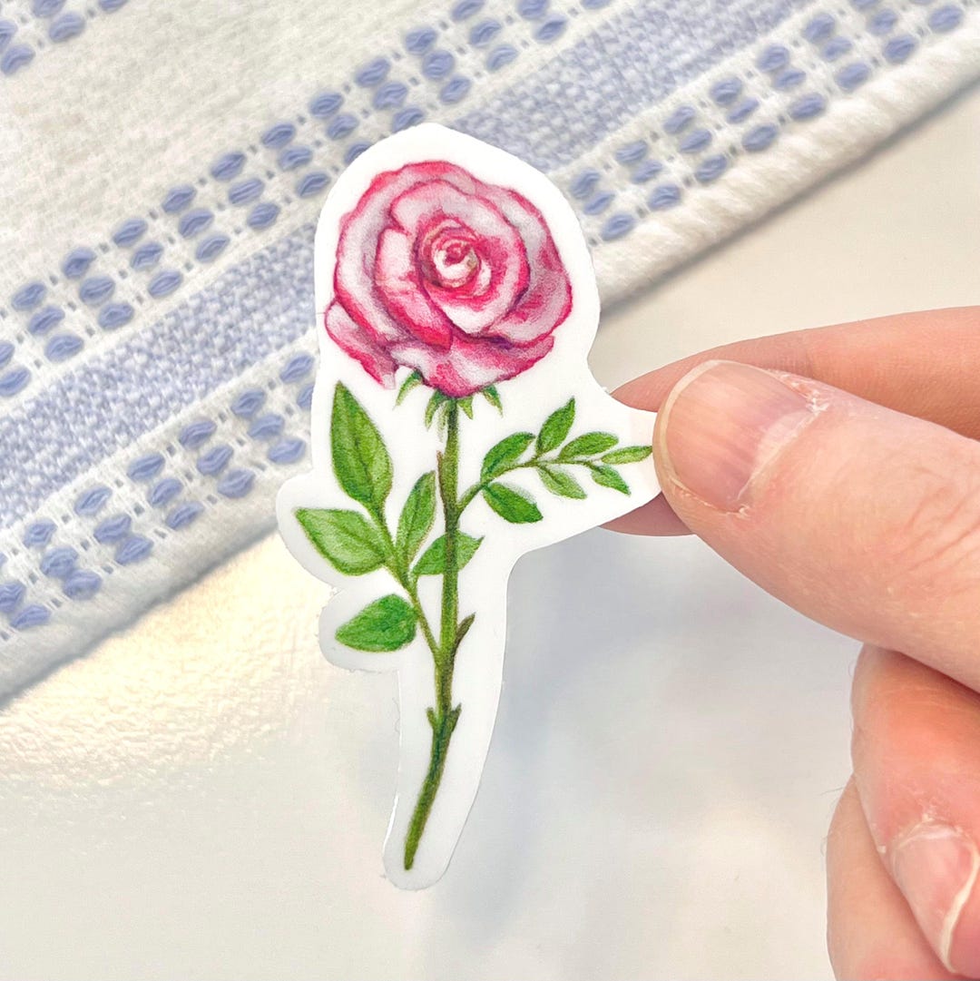 Rose Flower Sticker | June Birth Flower Sticker, Rose Sticker, June ...