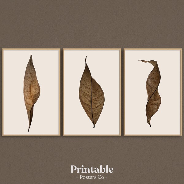 Fall Prints Set of 3 - Etsy