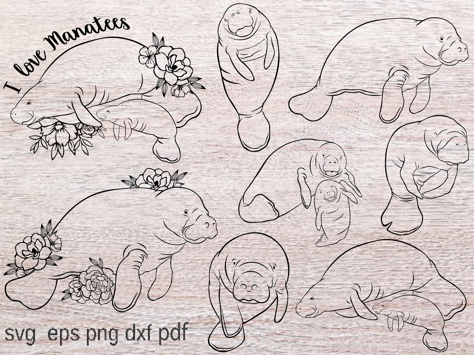 Manatee SVG Manatee Clipart Manatee Svg Manatee Cut File - Etsy Israel