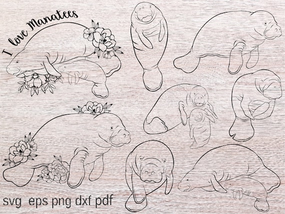 Manatee SVG Manatee Clipart Manatee Svg Manatee Cut File - Etsy Israel