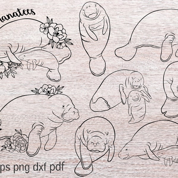 Manatee Svg - Etsy