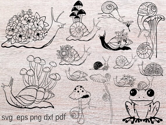 Snails SVG File Slugs SVG Mushrooms SVG Garden animals clip - Etsy México