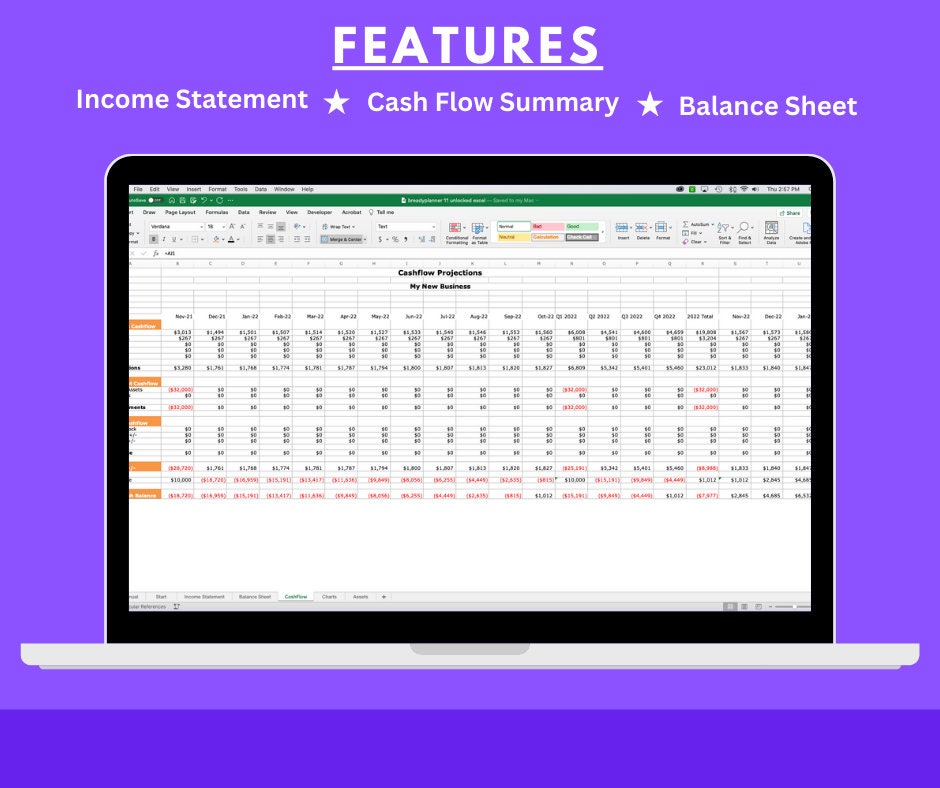 Financial Projections Spreadsheet for Start-up or Existing - Etsy