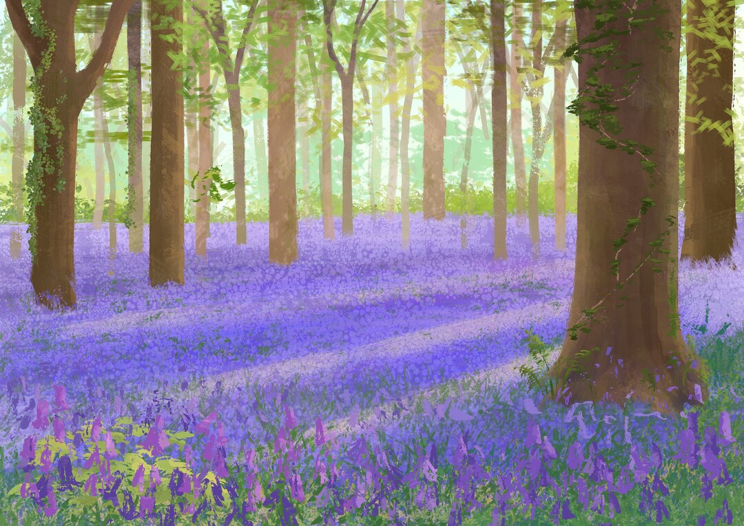 Bluebell Woods - Dorset - Digital Illustration Art Print - Wall Art - Etsy
