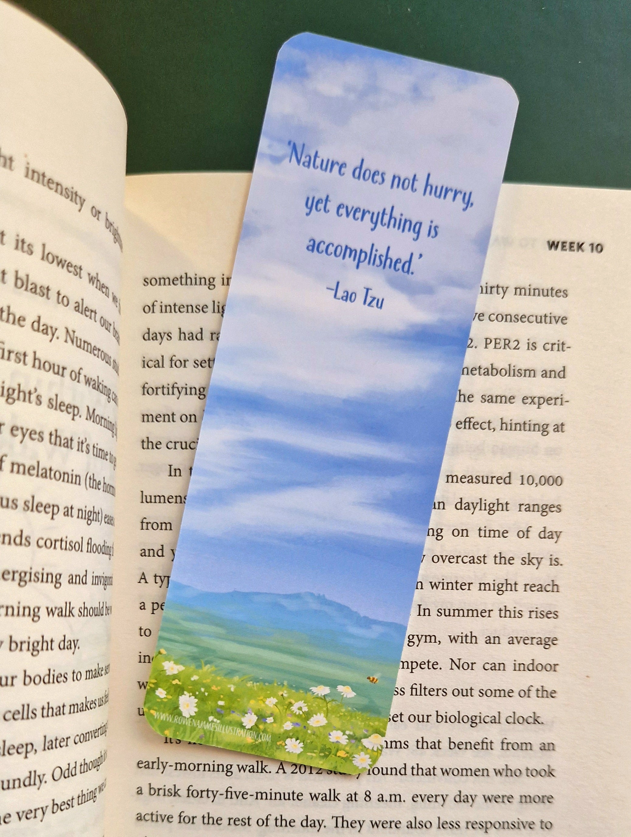 ILLUSTRATED BOOKMARKS- Landscape Illustration- Printed Onto Soft Touch ...