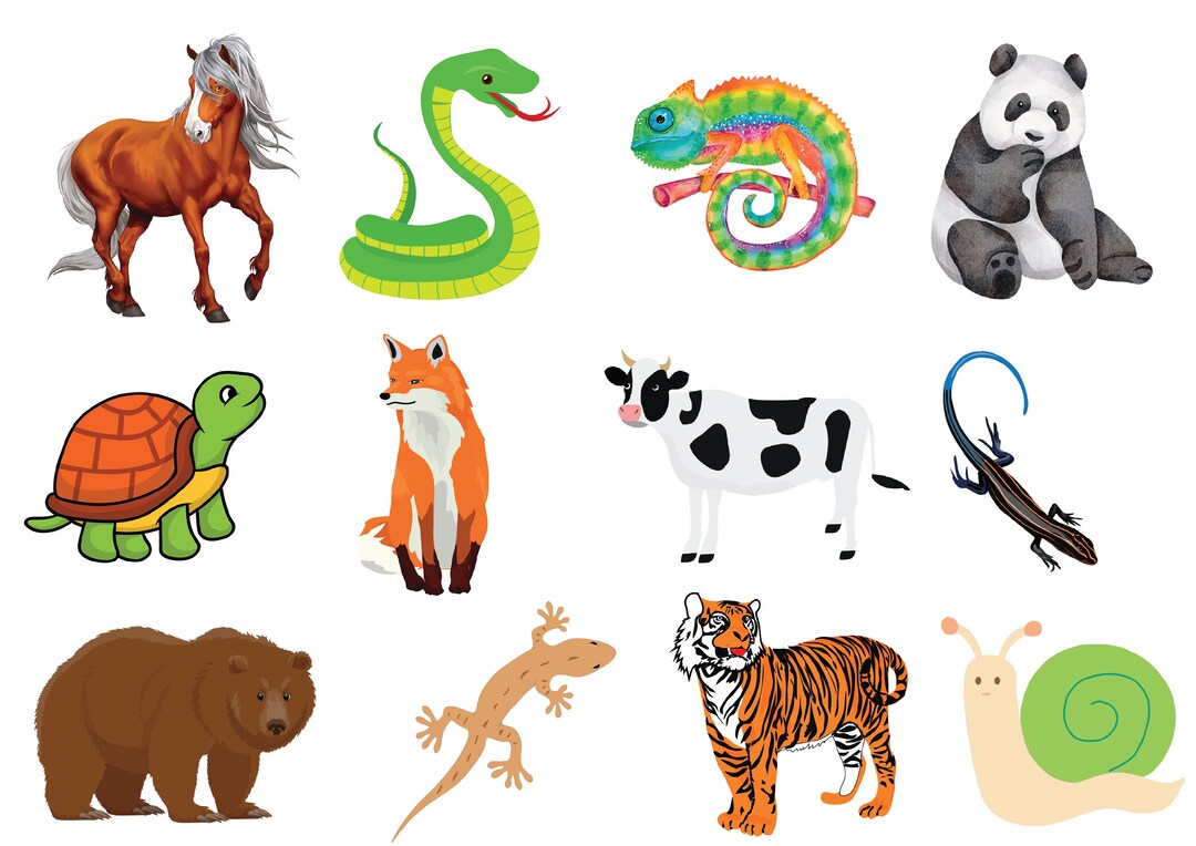 24 ANIMALS Mammals & Reptiles Printable Flashcards Kids - Etsy