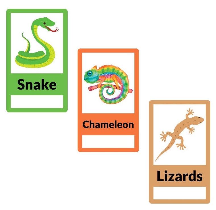 24 ANIMALS Mammals & Reptiles Printable Flashcards Kids - Etsy