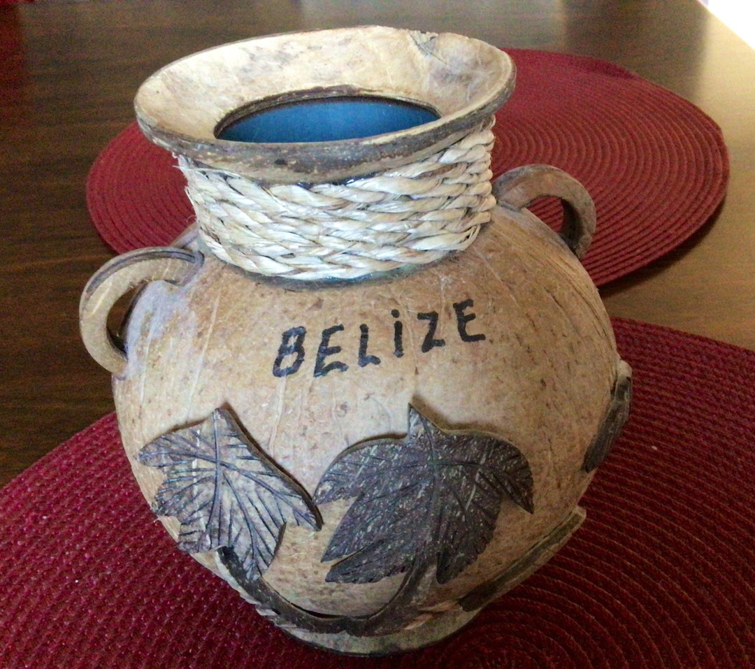 Vintage Coconut Shell Vase: Rustic Belize Decor - Etsy