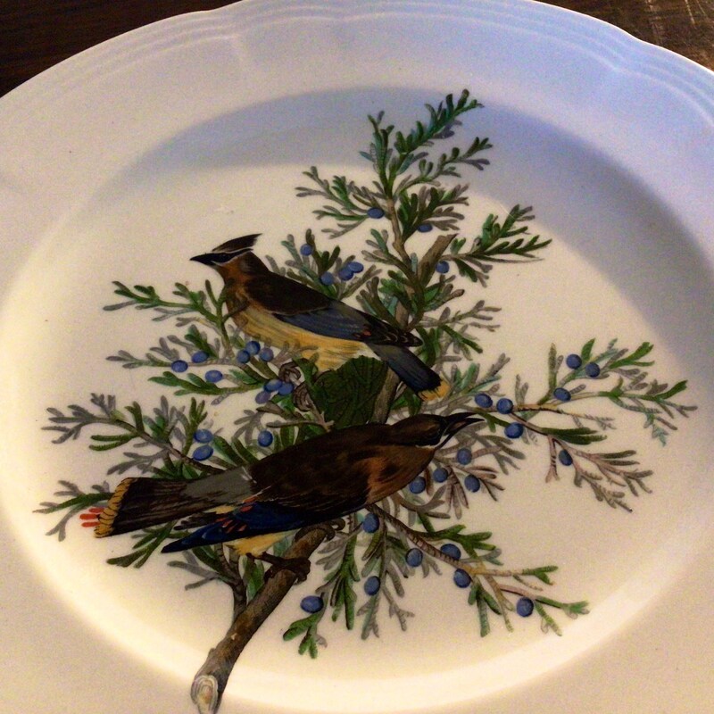 Bird Plates - Etsy