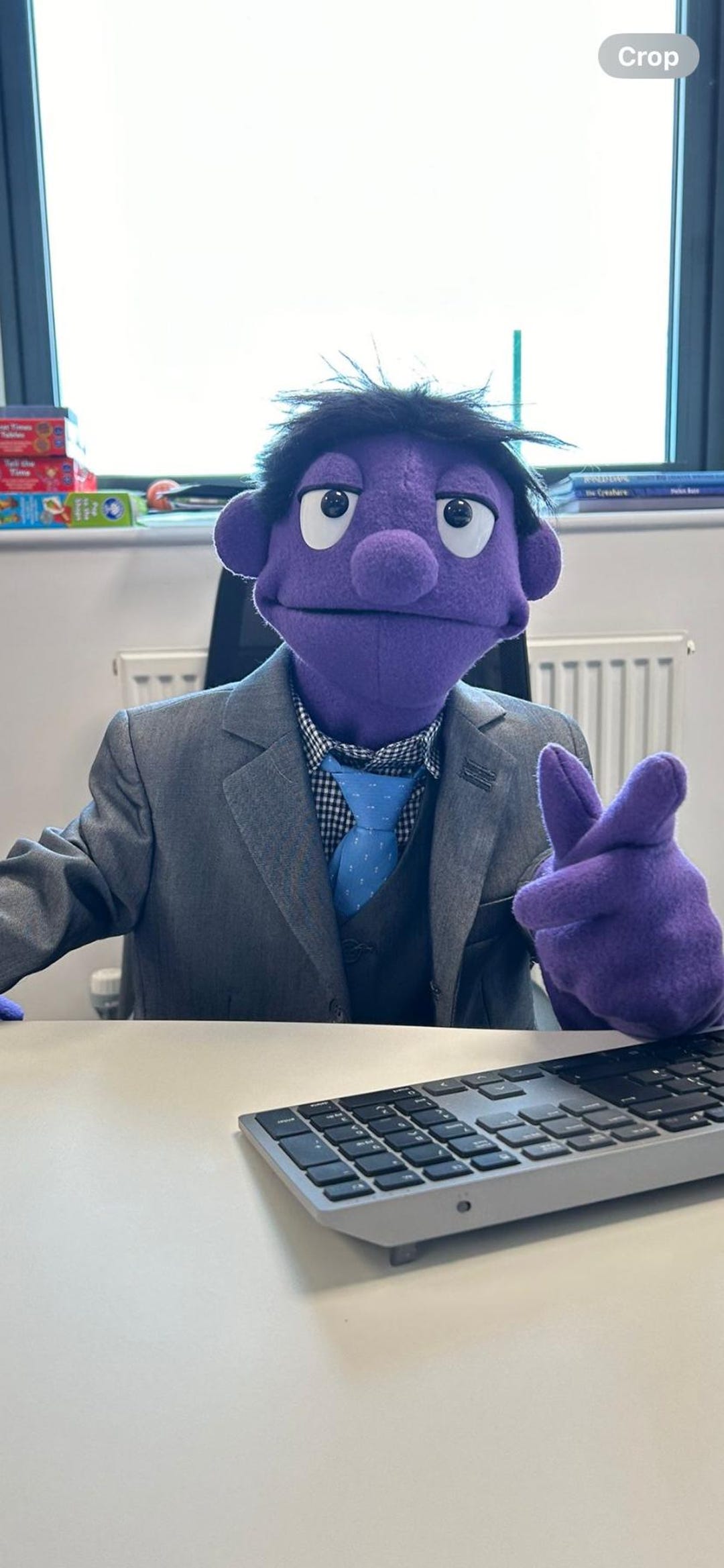 Custom Handmade Character Look-alike Puppet Live Hands or Arm Rods - Etsy