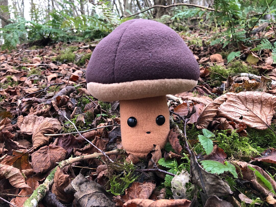 Mushroom Fungi Bolete Fleece Plush Mycology Woodland Boletus - Etsy