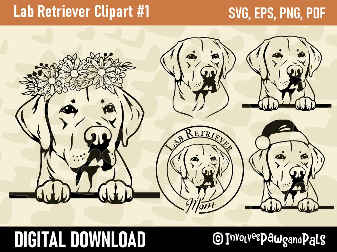 Peeking Labrador Retriever SVG Clipart #1 | Peeking Lab SVG | Lab ...