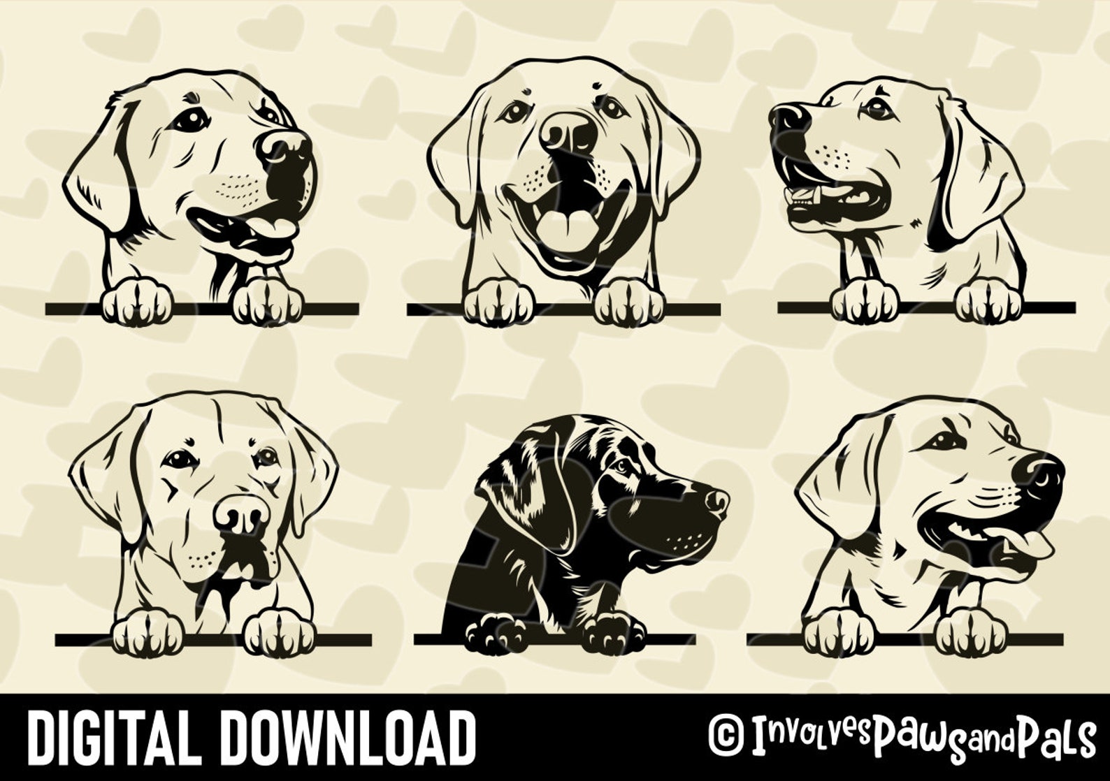 Peeking Labrador Retriever SVG | Peeking Lab SVG | Lab Retriever PNG ...