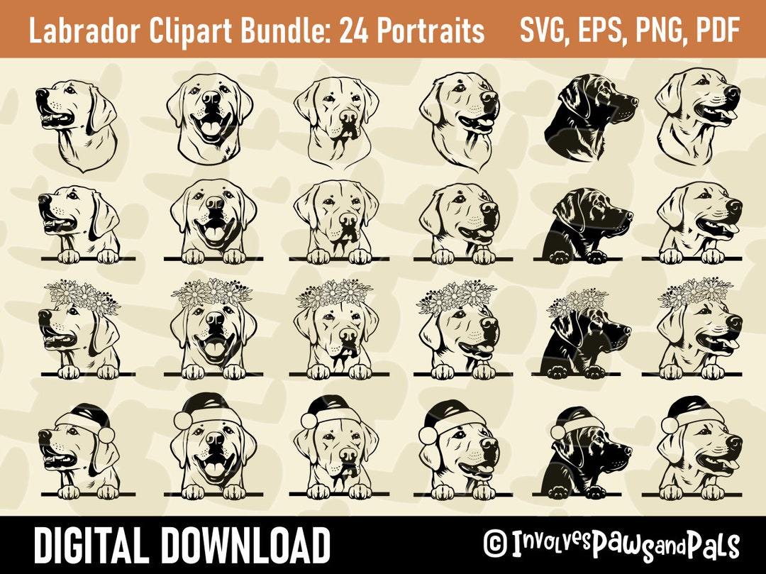 Peeking Labrador Retriever SVG | Peeking Lab SVG | Lab Retriever PNG ...