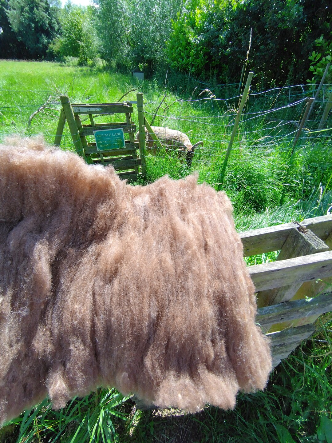 Castlemilk Carded Raw Wool - Etsy