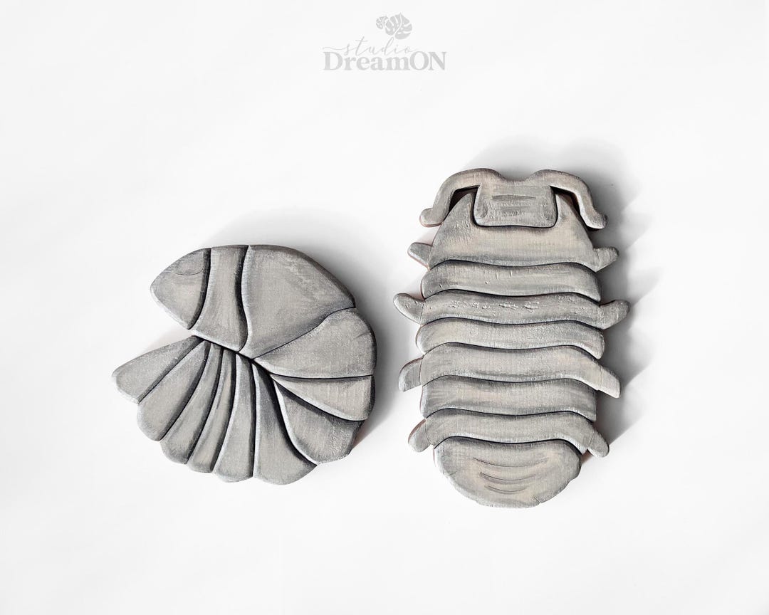 Rolly Polly Wood Wall Art Decor - Isopod Bugs Lover House Decor for ...